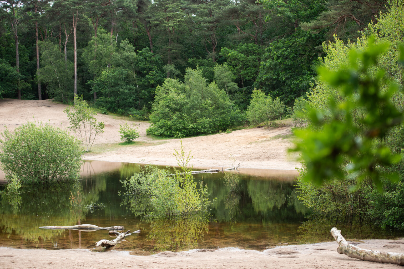 Acceptance and Commitment Therapy (ACT) - Andringa Psychologie